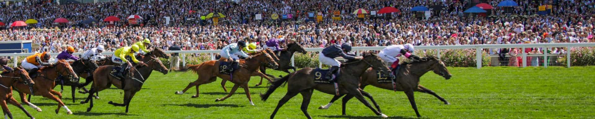 Horse Racing Types | AmWager | Online Horse Betting